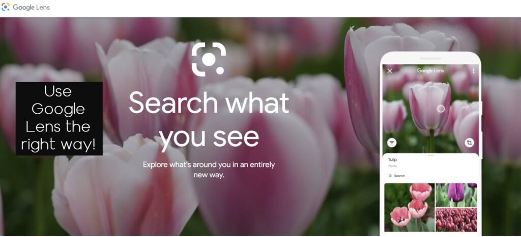Here's how to use Google Lens the right way | SHIMRAY